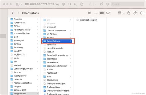 Ios 集成jenkins Pipeline 自动打包并上传蒲公英jenkins打包ios项目 Csdn博客