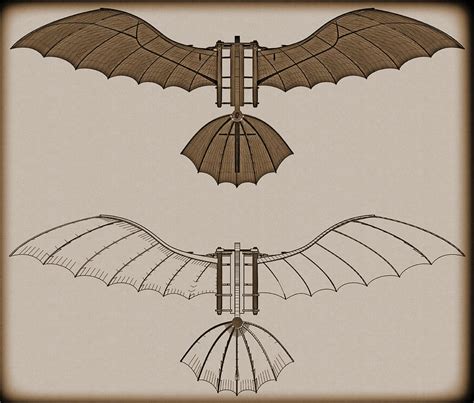 Leonardo Da Vinci Plane Drawings At Evie Beirne Blog