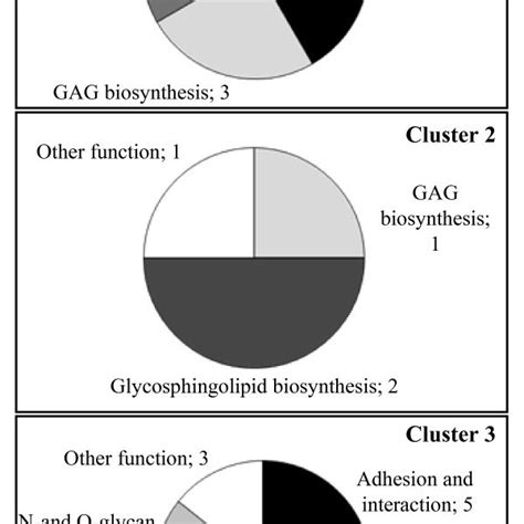 Time Course Of C2c12 Differentiation A C2c12 Cells Were Placed In Download Scientific