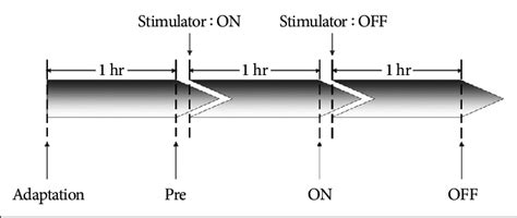 Schematic Diagram Of Dbs Stimulation Procedure Dbs Deep Brain Download Scientific Diagram