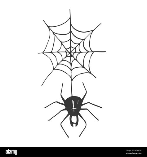 Hand Draw Sketch Spider And Web Stock Vector Image Art Alamy