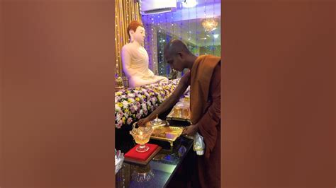 අසිරිමත් මල් පූජා 🌺🙏 අසිරිමත්පූජාව මල්පූජාකිරීම වනමල්පූජා මල්පූජාව පිච්ච්මල්පූජාව