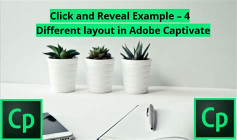 Click And Reveal Example In Adobe Captivate ELearning