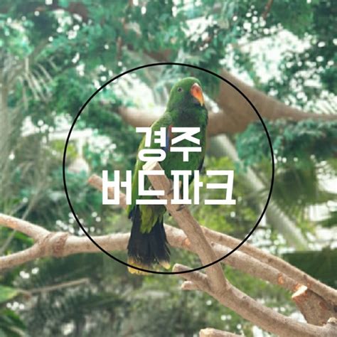 같이놀자 실내관광으로 좋았던 경주 버드파크 네이버 블로그