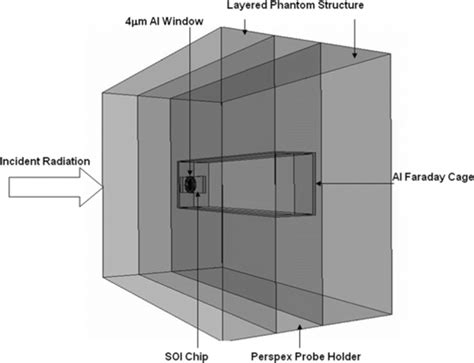 Schematic Of The Experimental Setup As Recreated Within The Geant4