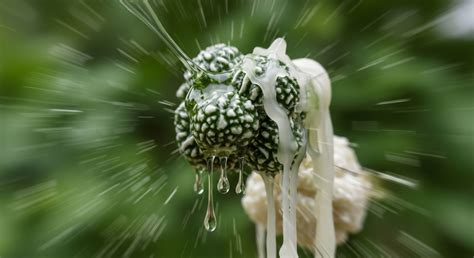 Downstream Impact → Term