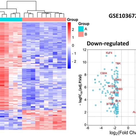 Heatmap And Volcano Plot For Degs From Dataset Gse141136 Note The Download Scientific Diagram