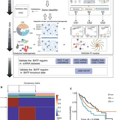 Identification Of Hcc Subclasses Using Nmf Consensus Clustering A