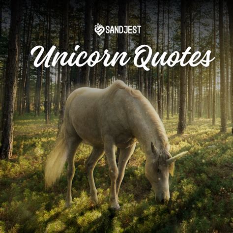 100 Beautiful Unicorn Quotes To Inspire Magic • Sandjest Ts