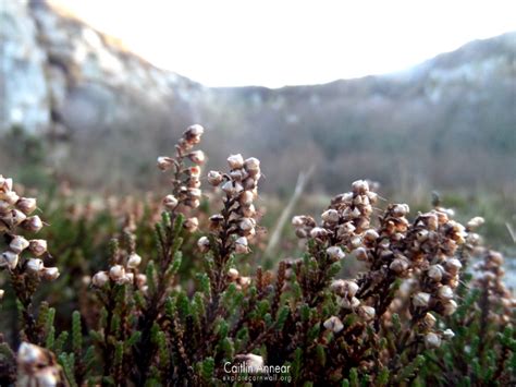 Carn Marth Explore Cornwall