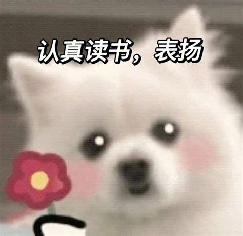 学习表情包 高清图片，堆糖，美图壁纸兴趣社区