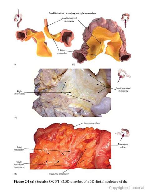 Applied Basic Science For Basic Surgical Training