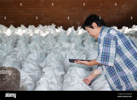 Asian Woman Smart Farmer Agriculturist Working At Fertilizer Composting Plant With Organic