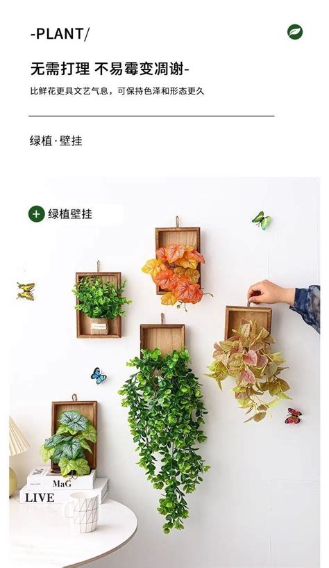綠植背景墻 仿真綠植相框 墻上綠植壁掛 北歐植物壁貼 Ins風墻麵裝飾掛件 植物墻 仿真綠植 牆壁裝飾 民宿墻壁植物掛飾 蝦皮購物