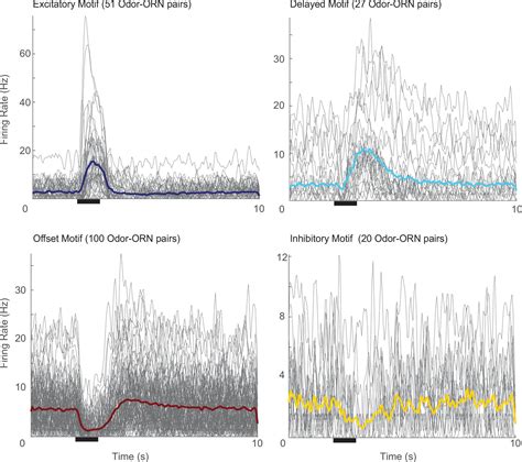 Figures And Data In Olfactory Receptor Neurons Generate Multiple