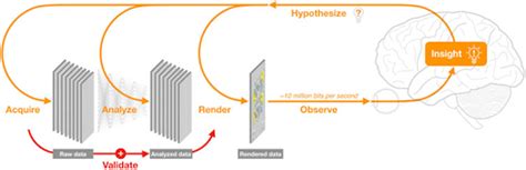 Insight Beyond Numbers The Growing Significance Of Visualizing