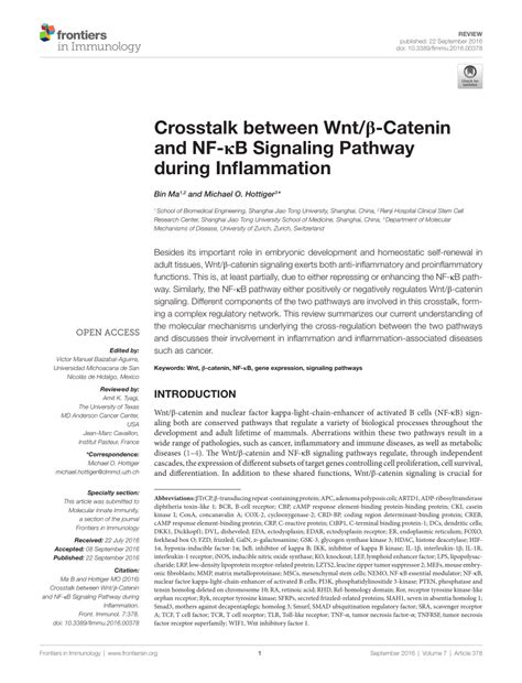 PDF Crosstalk between Wnt β Catenin and NF κB Signaling Pathway