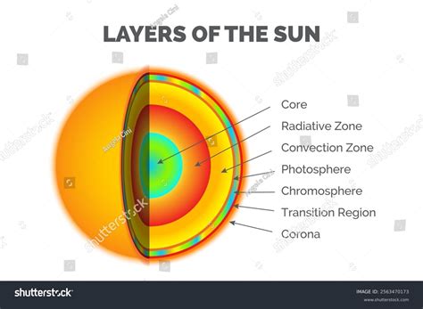 Layers Sun Core Radiative Zone Convection Stock Vector Royalty Free 2563470173 Shutterstock