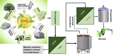 Biofuels Production Process Liste Des Biocarburants Ajratw