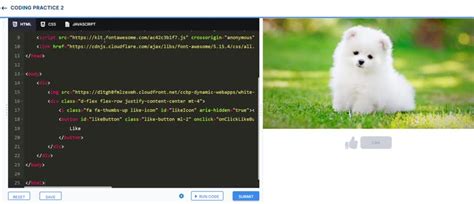 100daysofcode 100daysofcode ccbp nxtwave coding continuous