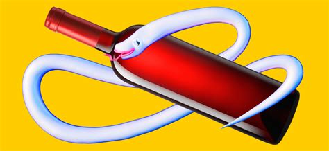 Кодирование от алкоголя что это эффективность что будет если выпить после кодировки