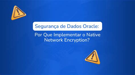 Segurança De Dados Oracle Por Que Implementar O Native Network