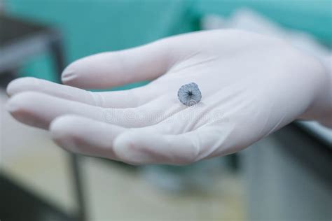 Patent Ductus Arteriosus Disease PDA Device Closure Stock Photo Image Of Diagnostic Ductus