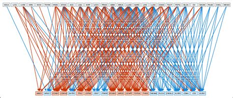 Bipartite Graph Presenting Tumor Type Gene Pairs Exhibiting Significant Download Scientific
