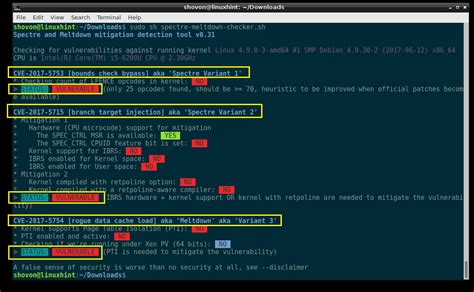 Linux Lite Meltdown Spectre Werybc