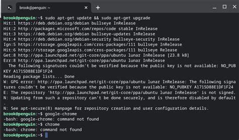 Help With Linux Commands In Chromeos Rchromeos