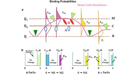 Monte Carlo Simulations Construction Of State Transition Download