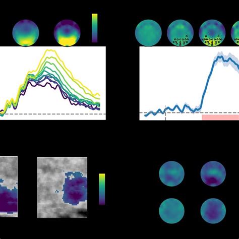 Results Of The Model Based Analyses On The Eeg Response To The Download Scientific Diagram