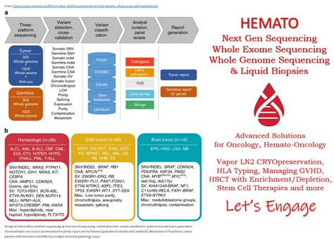 Pregen Precision Genetics On Linkedin Wgts