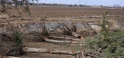 2024 год в Узбекистане в фотографиях Новости Узбекистана Gazeta