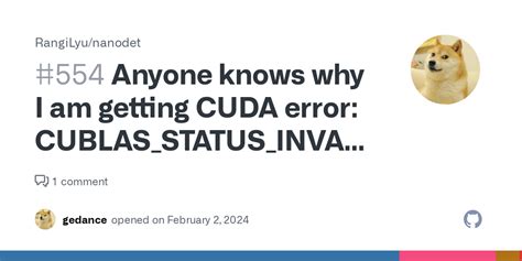 Anyone Knows Why I Am Getting CUDA Error CUBLAS STATUS INVALID VALUE Issue RangiLyu
