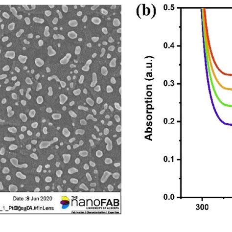 Density Functional Theory Calculated Highest Occupied Molecular Orbital