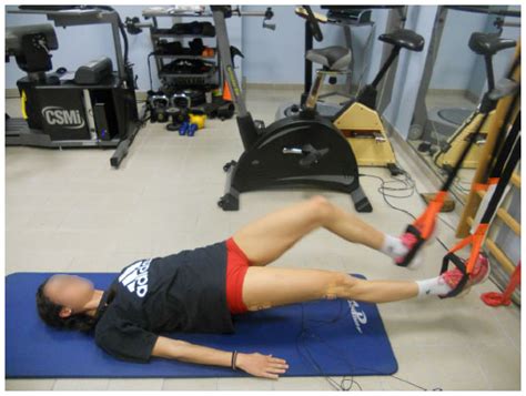 Muscle And Intensity Based Hamstring Exercise Classification In Elite