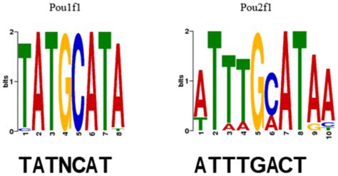 Dna Protein Binding Analysis Plos One