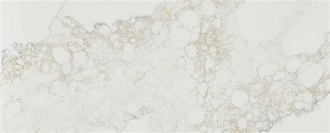 Vallejo Gold Quartz Countertop Level 6 Della Terra 126×63 Home