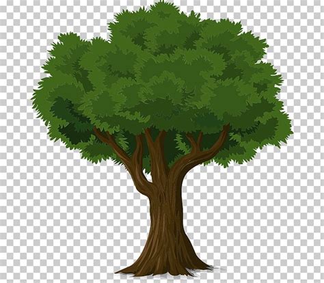 Tree Trunk Drawing Snag Branch PNG Clipart Arborist Bark Branch Drawing Flowerpot Free PNG