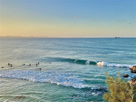 Surfen Mit Python Australier Muss Strafe Zahlen 1 1
