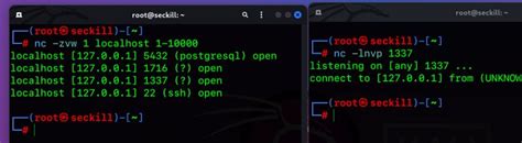 Qusai Alhaddad On Linkedin Netcat For Fast Ports Scanner Z For