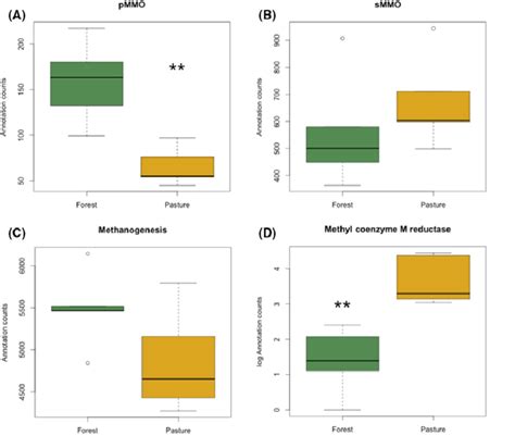 Functional Genes Related To Methane Cycling Respond Differently To Land Download Scientific