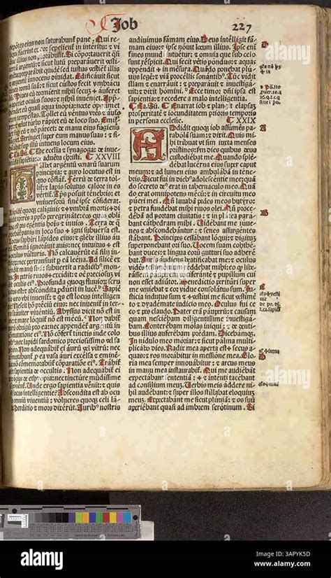 This Edition Of The Bible Includes Comprehensive Concordances For Both