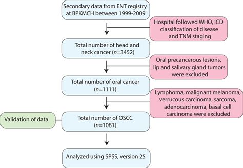 Flow Chart Showing Steps In Data Collection And Analysis Download Scientific Diagram