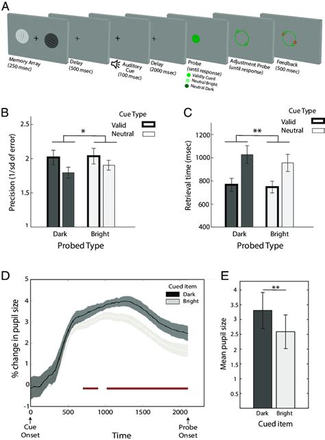 Exp 1 Task Schematic And Behavioral Results A During Encoding