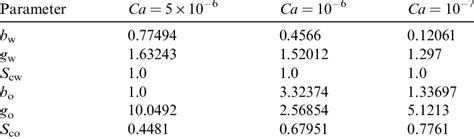 Fitting Parameters Of The Steady State Relative Permeability Functions