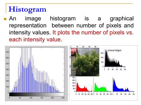 Histogram Equalization Pptx Digital Audio Computer Software And