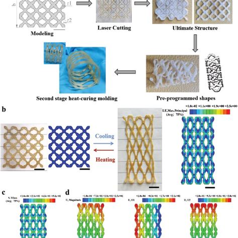 Experimental And Finite Element Simulation Of 2d Lattice Lce