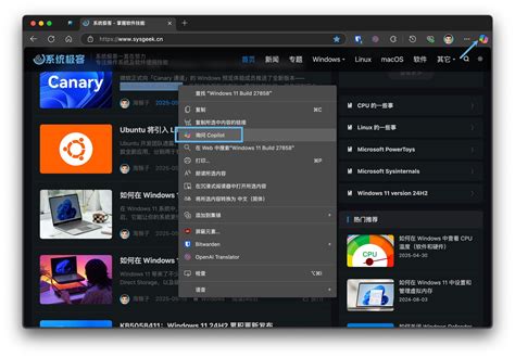 如何在 Microsoft Edge 中打开或关闭 Copilot 功能 系统极客